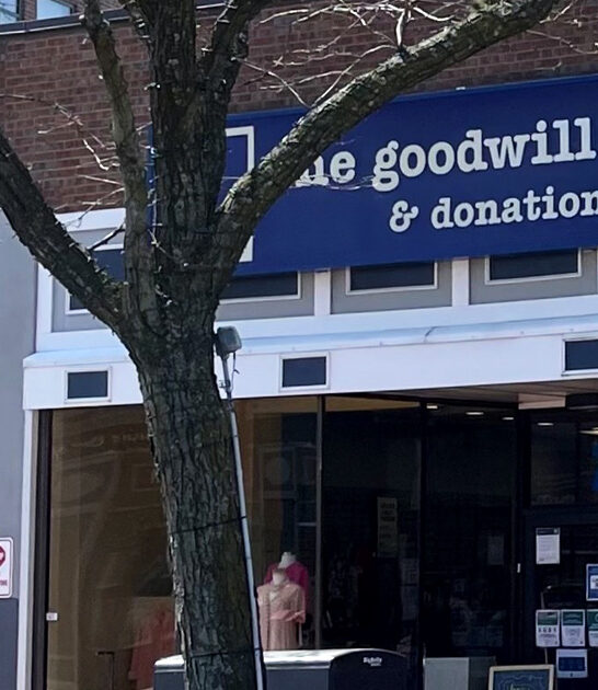 massachusetts secondhand shop discoveries ftr
