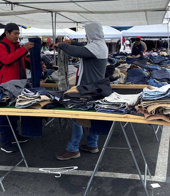 massive california backseat bargains ftr