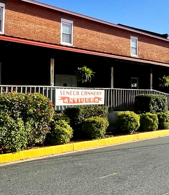 massive deals maryland shop ftr