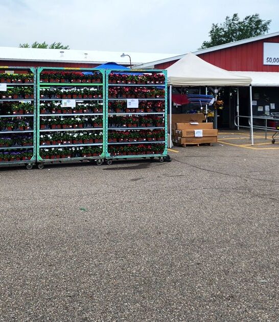 massive discount michigan treasures ftr