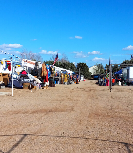 massive flea arizona buy ftr