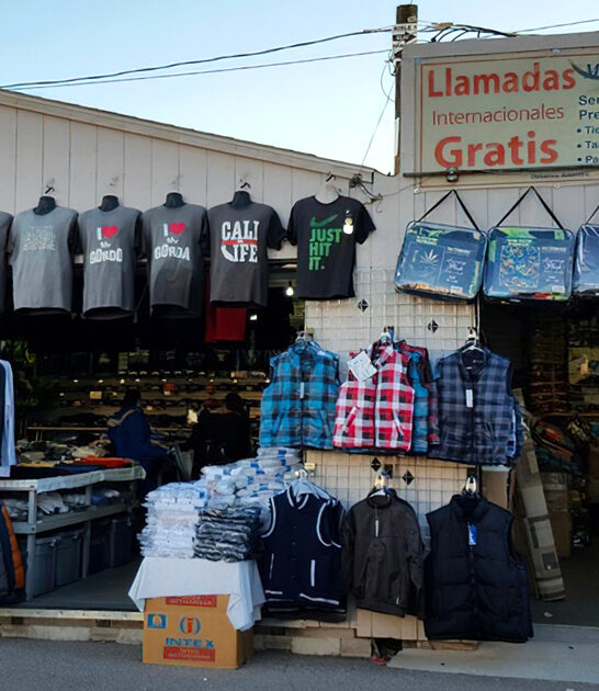 massive flea arizona make ftr