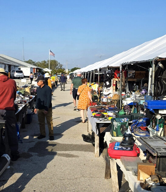 massive flea florida awesome ftr