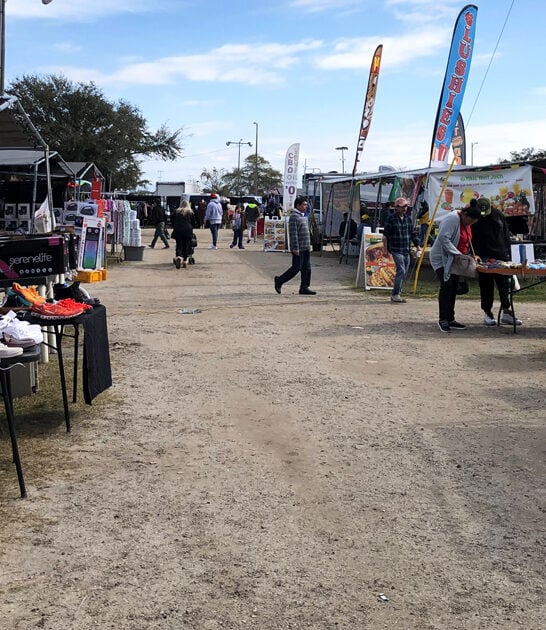 massive flea florida fills ftr