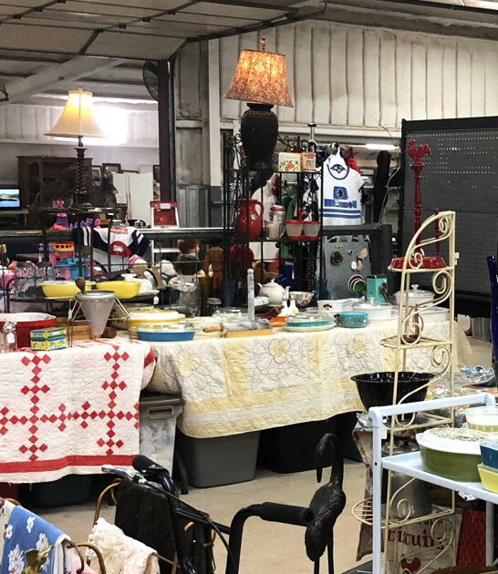 massive flea oklahoma more ftr