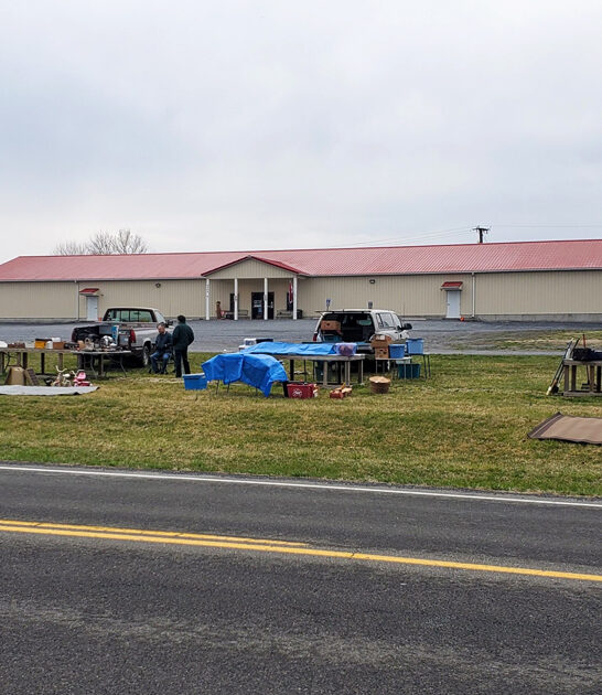 massive flea virginia shop ftr