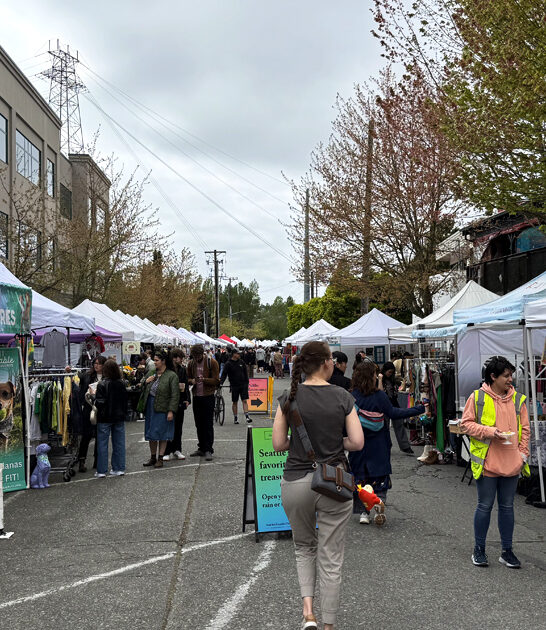 massive flea washington lose ftr