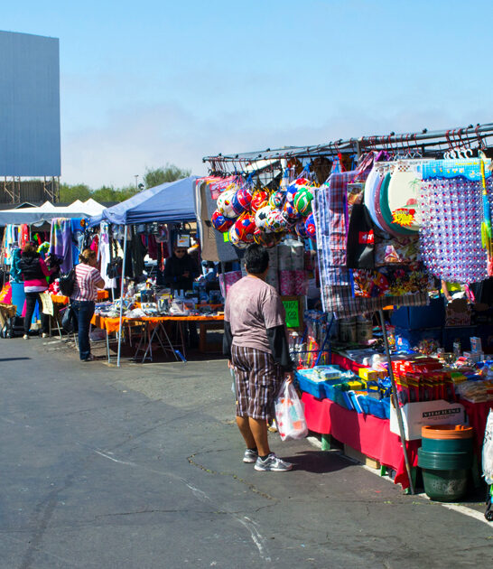 massive market california bargains FTR