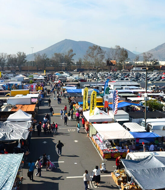 massive market california shop ftr