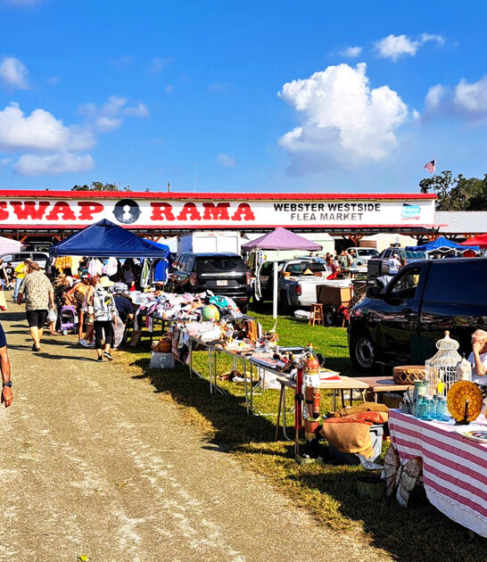 massive market florida budget FTR