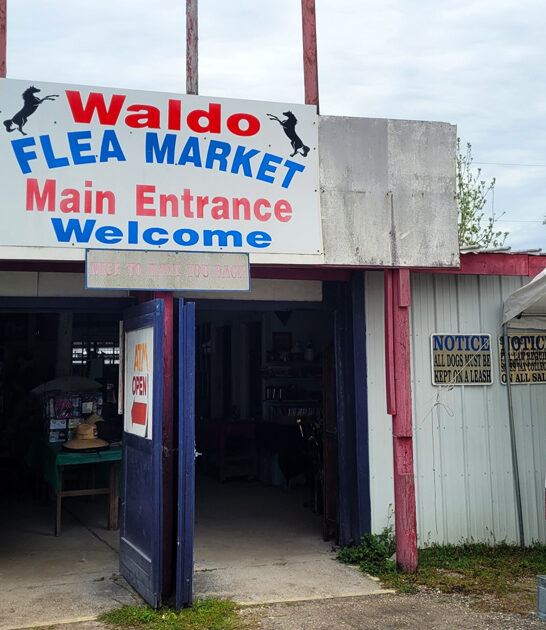 massive market florida flea ftr
