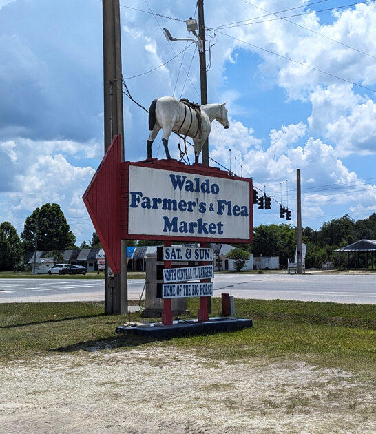 massive market florida gems ftr