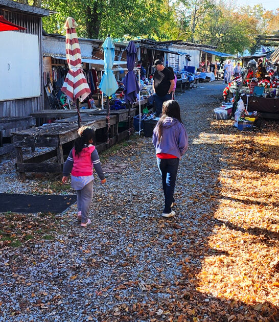 massive markets tennessee bargain ftr