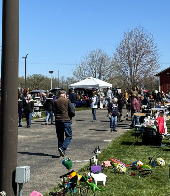 massive markets wisconsin bargain ftr