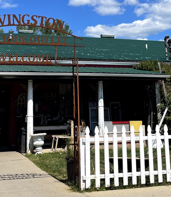 massive michigan vintage stores ftr