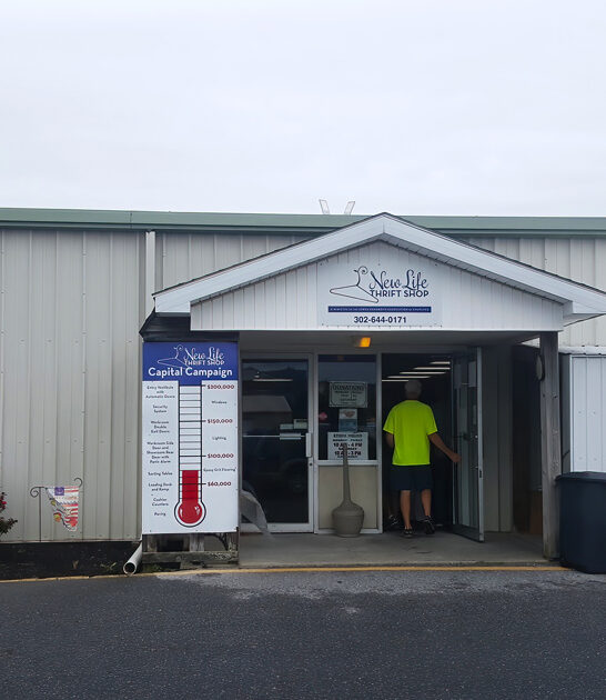 massive secondhand shop delaware ftr