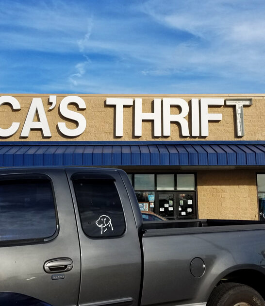 massive store alabama treasures FTR