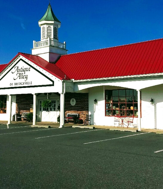 massive store delaware vintage ftr
