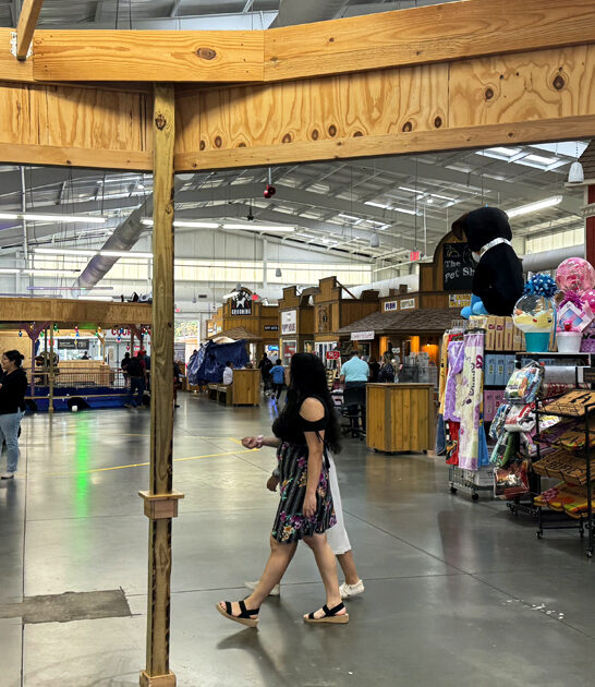 meet enormous swap georgia ftr