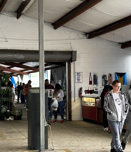 meet swap florida enormous ftr