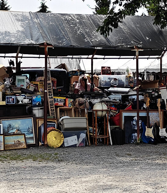 meets new hampshire dreams FTR