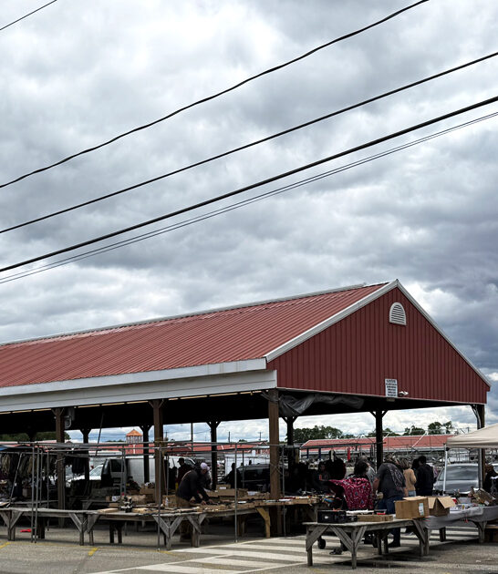 meets new jersey dreams FTR