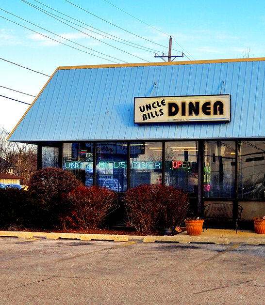 melt patty illinois diner ftr