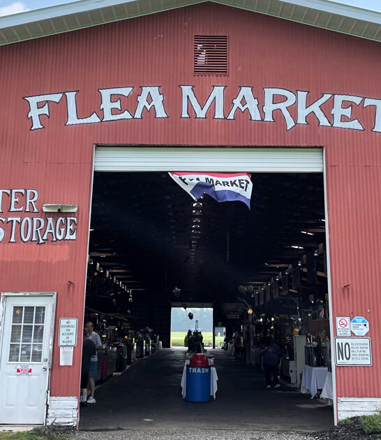 michigan budget flea markets ftr