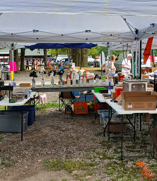 michigan flea good deals ftr