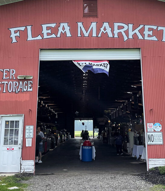 michigan markets flea enormous ftr