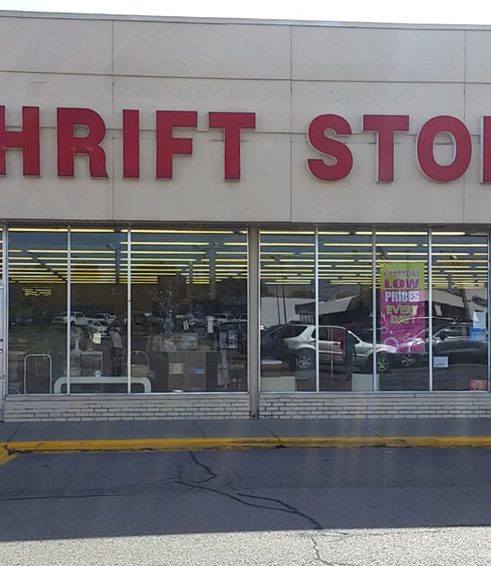 michigan thrift store bargains ftr