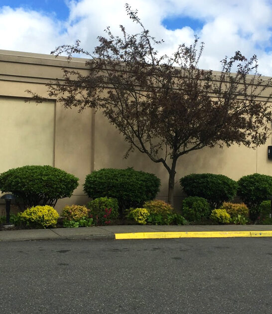 mind blowing washington steakhouses ftr