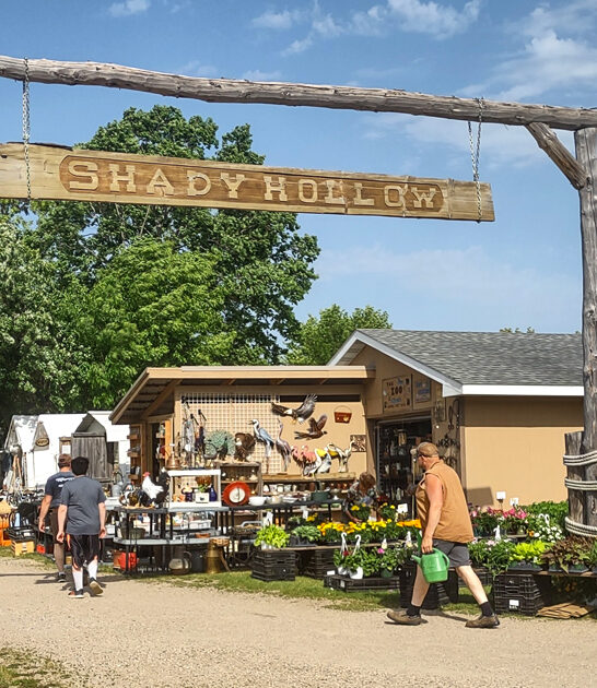 minnesota affordable flea markets ftr