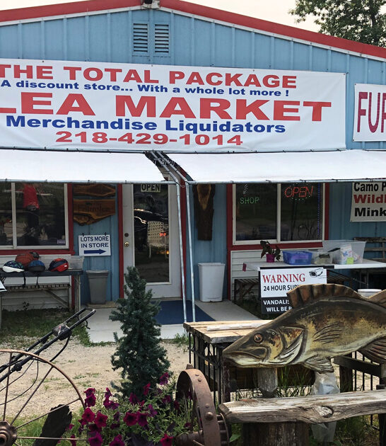 minnesota big flea markets ftr