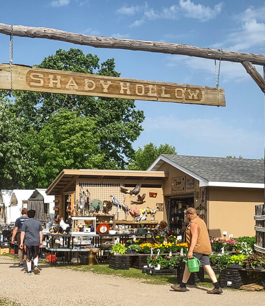 minnesota flea market bargains ftr