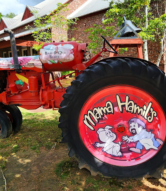 mississippi buffet chicken dumplings ftr