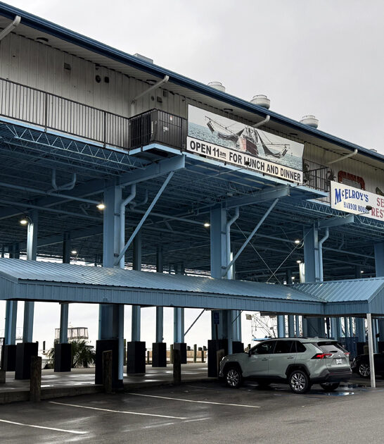 mississippi raw oysters legendary ftr