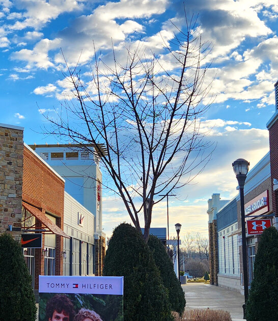 mississippi retail shopping escape ftr