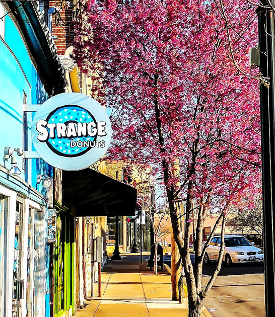 missouri humble bakeshop donuts ftr