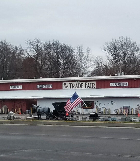 missouri thrift treasure haven ftr