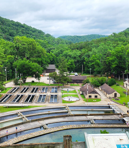 missouri worthy state park ftr