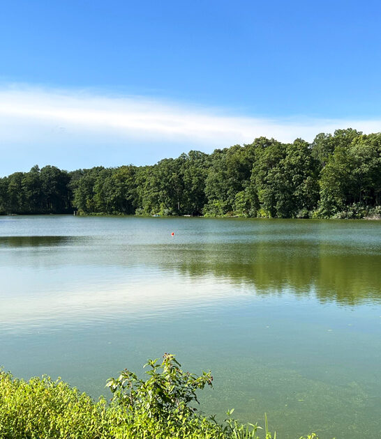 most stunning park illinois ftr