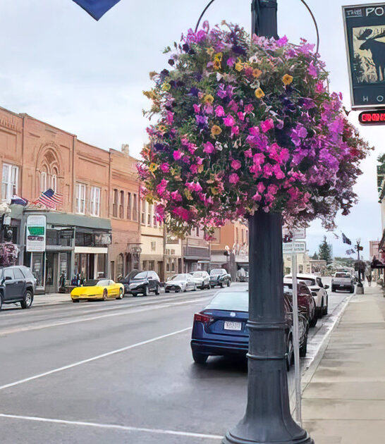 mountain town montana affordable ftr