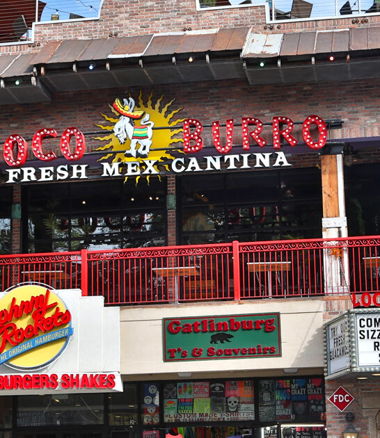 nachos delicious restaurant tennessee ftr