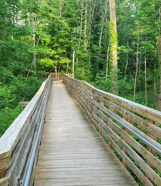 nature lover park ohio ftr