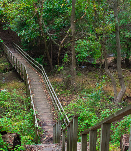 nature new jersey lovers ftr