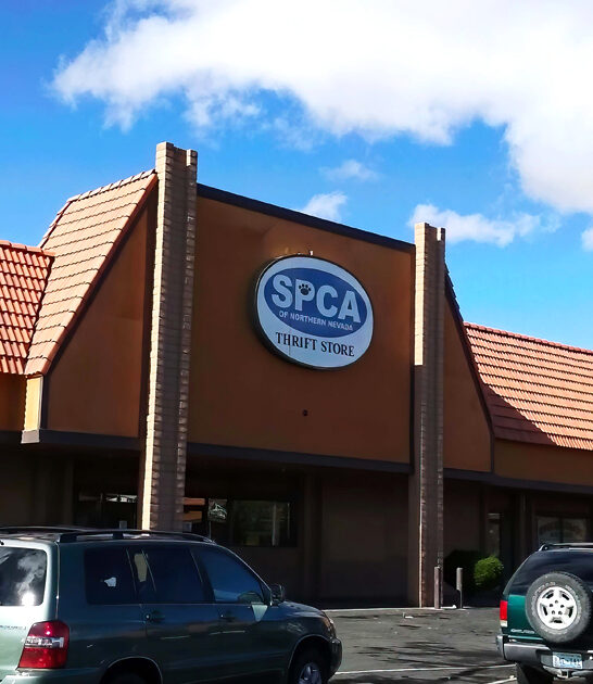 nevada bargain thrift stores ftr