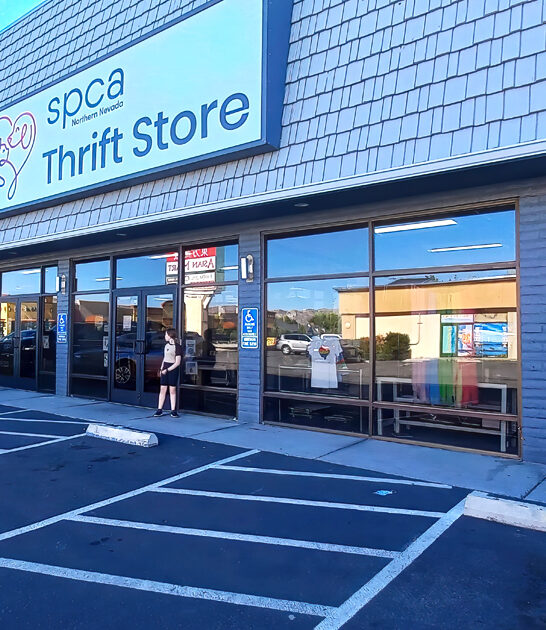 nevada best deal stores ftr