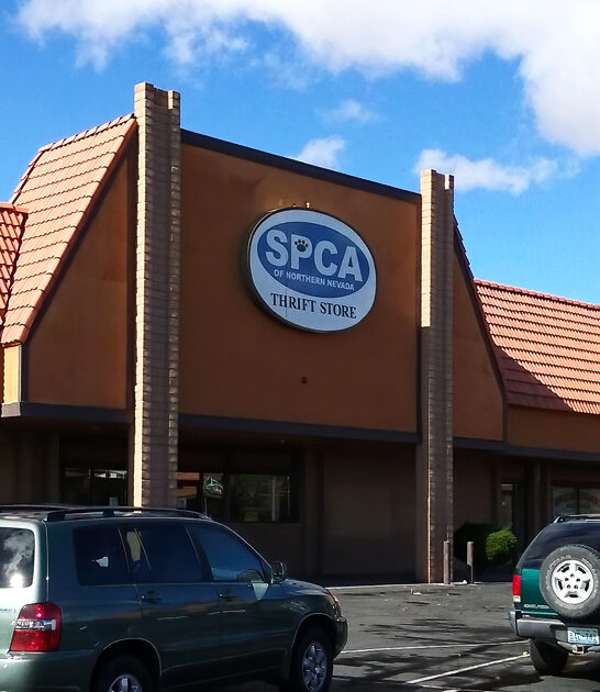 nevada enormous secondhand shop FTR