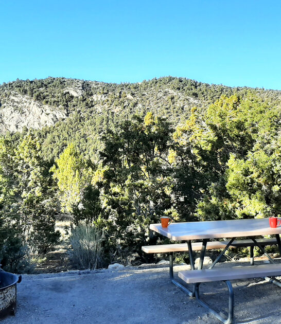 nevada natural canvas park ftr